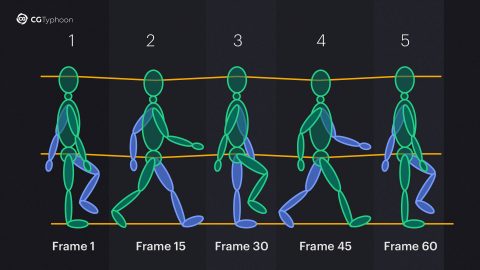 Human walk cycle animation for 30 fps | CGTyphoon